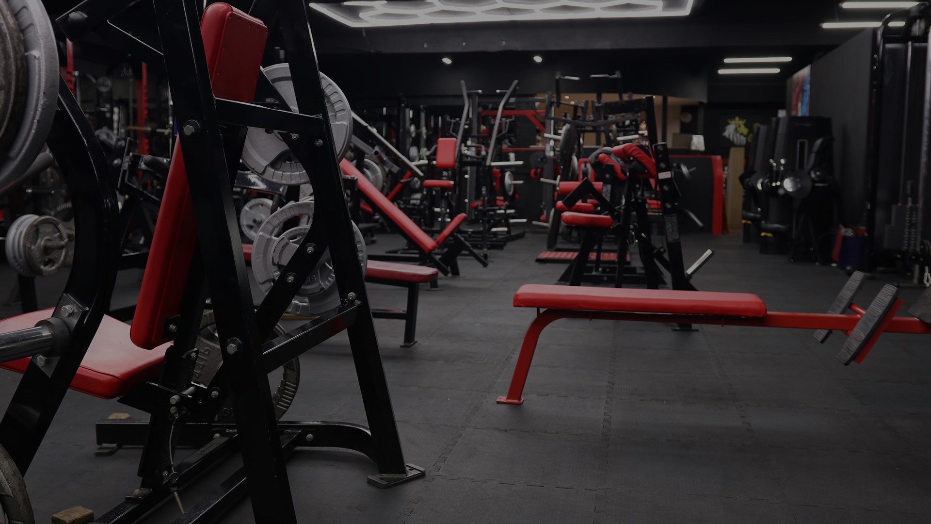 Martial Arts & Classes | Titans Gym High Wycombe