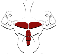 Martial Arts & Classes | Titans Gym High Wycombe